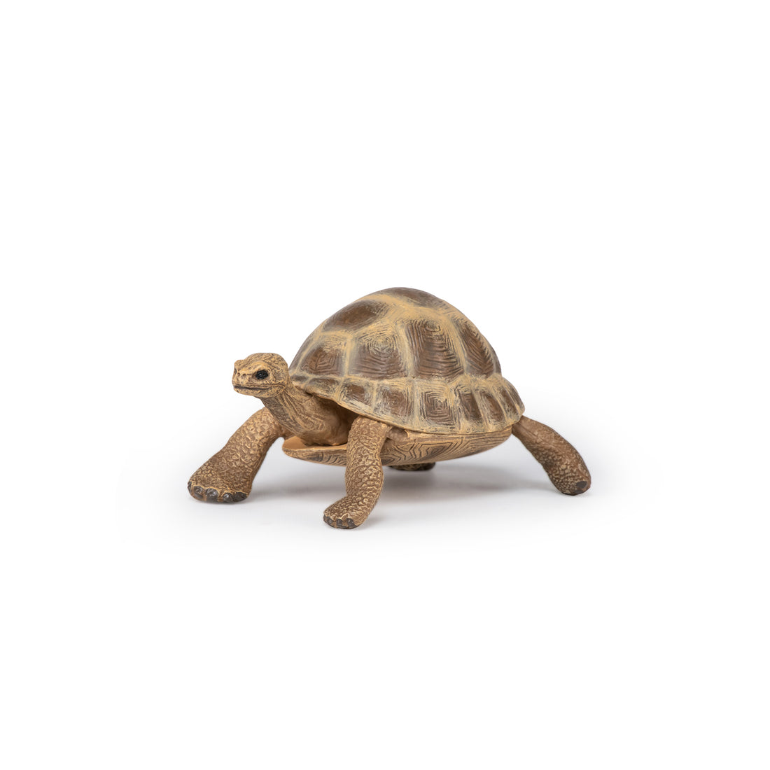 papo-hermanns-tortoise-50264 – Schleich.Org