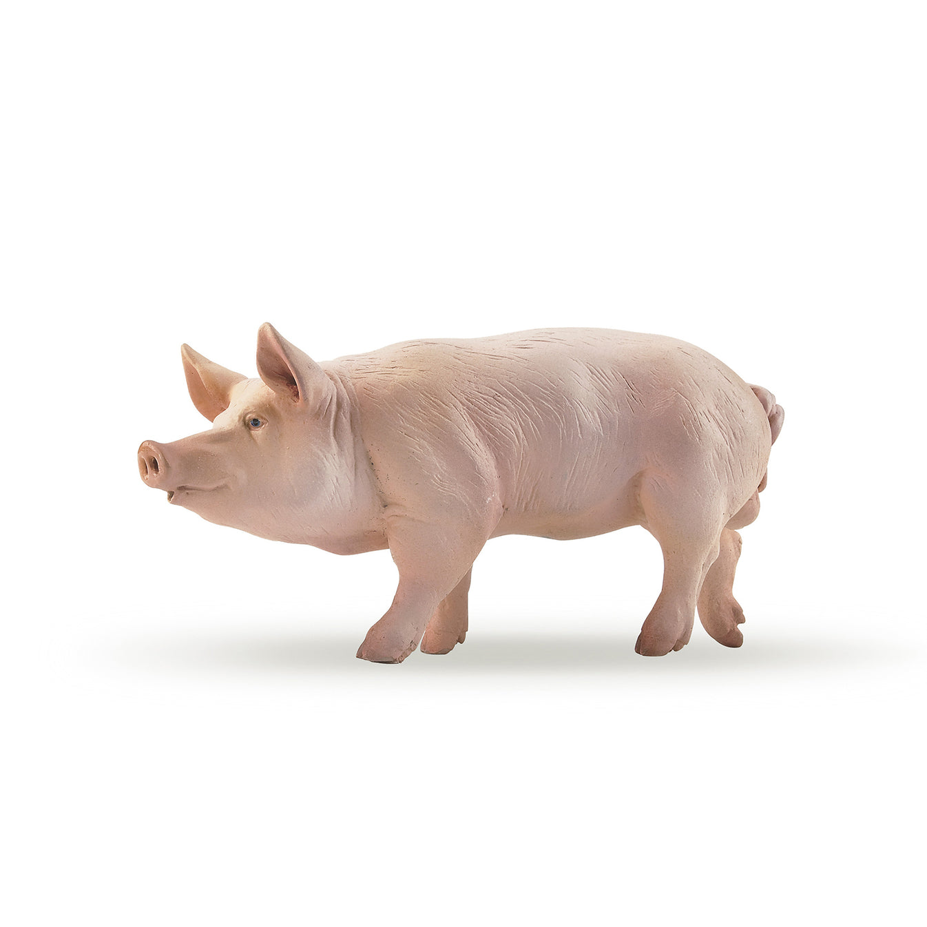 papo-pig-boar-51044 – Schleich.Org